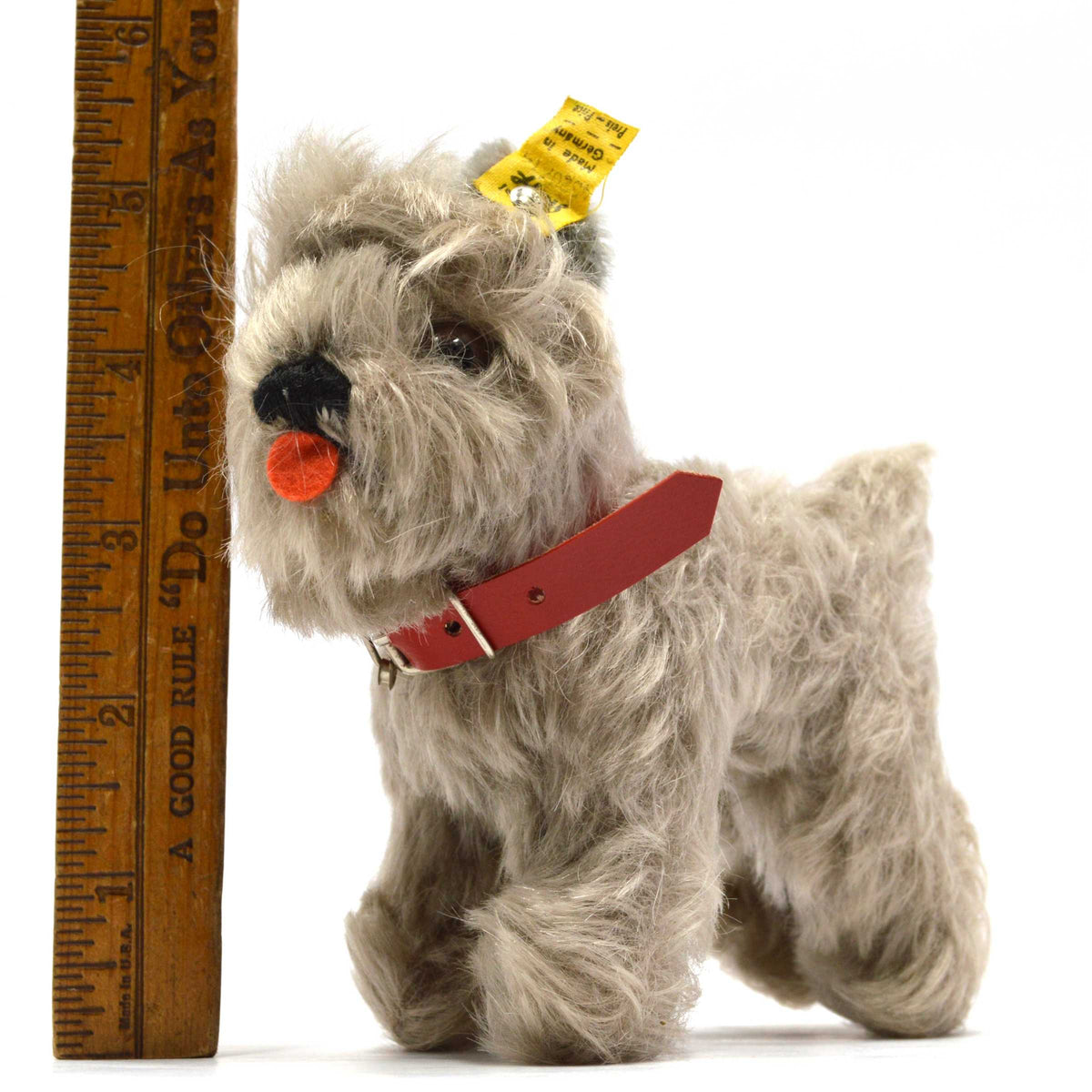 Vintage STEIFF "TESSIE" SCHNAUZER DOG 5" Gray Hair RED COLLAR w/ EAR T ...
