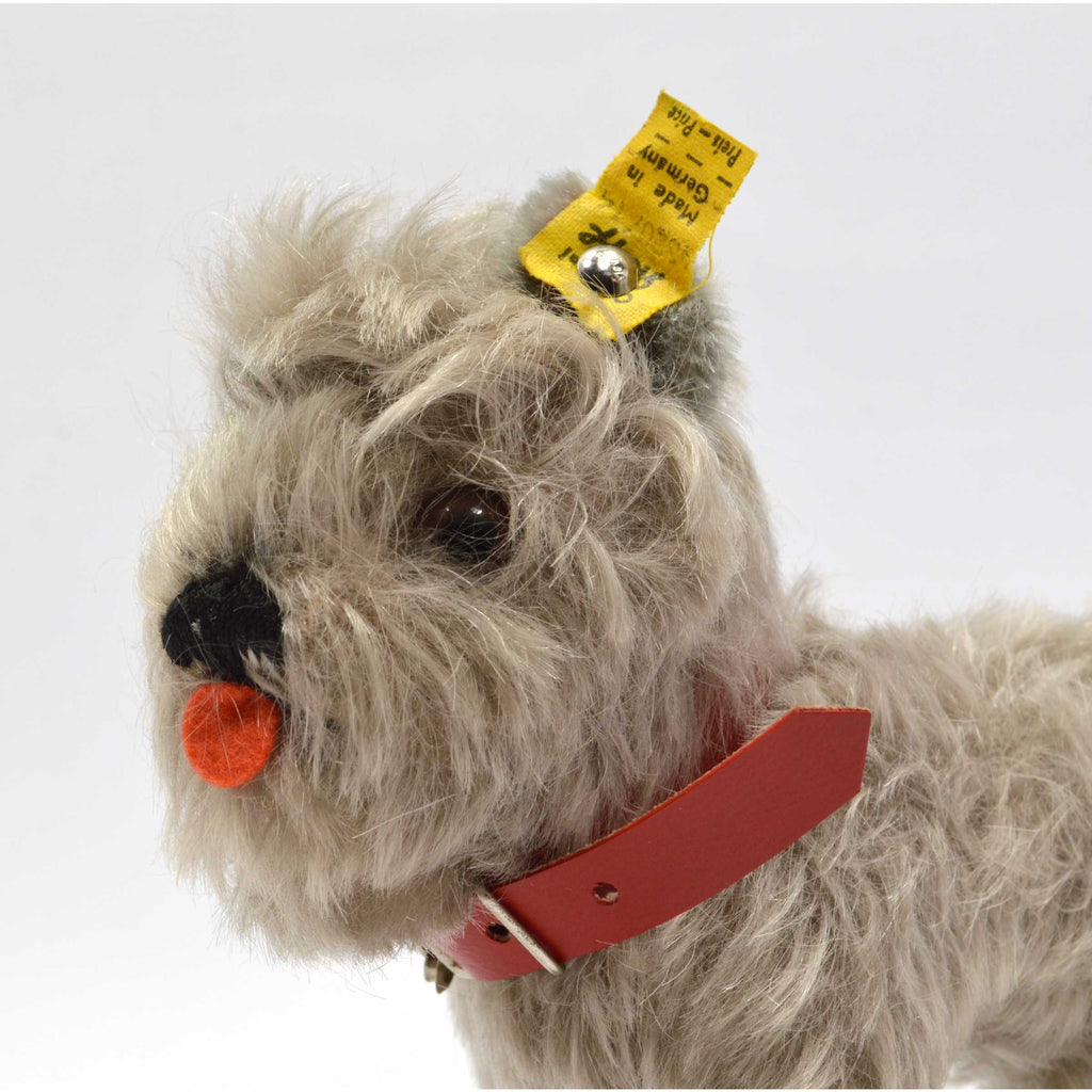 Vintage STEIFF "TESSIE" SCHNAUZER DOG 5" Gray Hair RED COLLAR w/ EAR T ...
